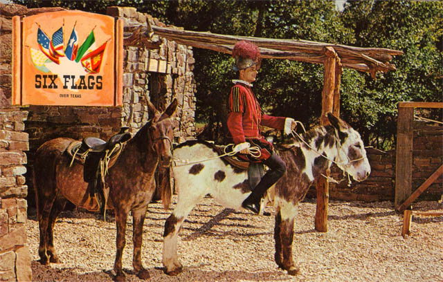 20 | May | 2014 | Flashback : Dallas