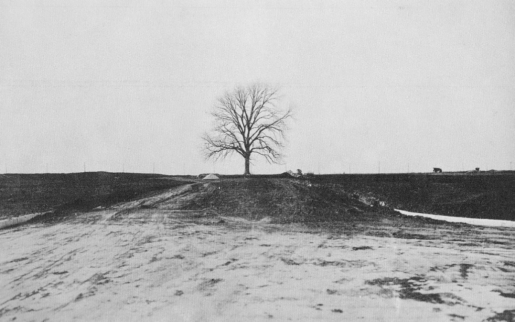 Celebrate the Pecan Tree’s 150th Christmas! | Flashback : Dallas